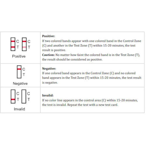 Boson Rapid SARS - COV-2 Antigen Test Kit Pack of 10 1N40C5-2 - Hunt ...
