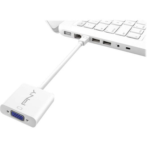 PNY - Display adapter - Mini DisplayPort (M) to HD-15 (F) - Hunt Office ...