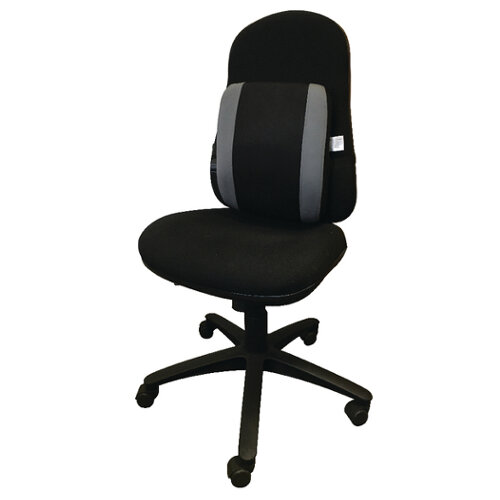 Contour Ergonomics Adjustable Premium Lumbar Back Support Black/Grey ...