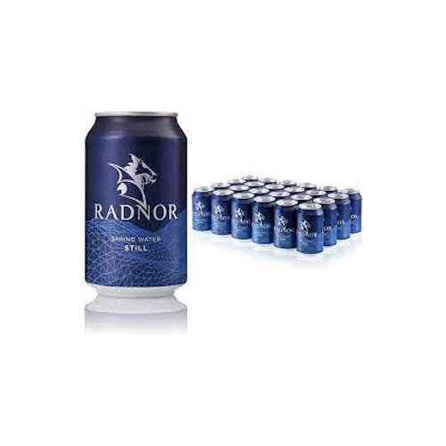 Radnor Spring Water Still 330ml Can (Pack of 24) 0201059 - HuntOffice ...