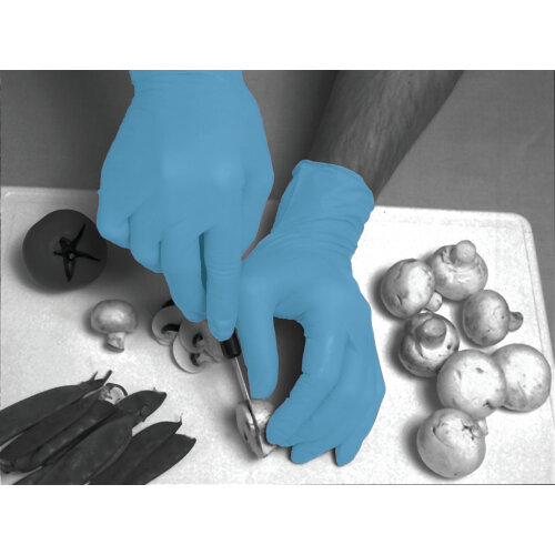 Shield Powder Free Nitrile Micro Textured Disposable Gloves Small Blue ...
