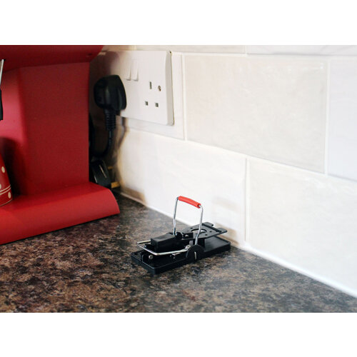 Advanced Mouse Trap (Twin Pack) - Hunt Office Ireland