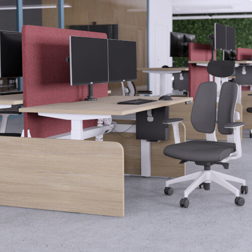 LEAP Electric Height Adjustable Sit Stand 2 Person Back To Back Bench ...