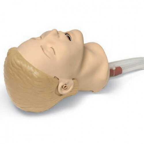 Laerdal Resusci Anne Airway Trainer Head - HuntOffice.ie