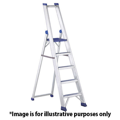 Regina Plus Single Sided Platform Ladder - 8 Step - a durable ...