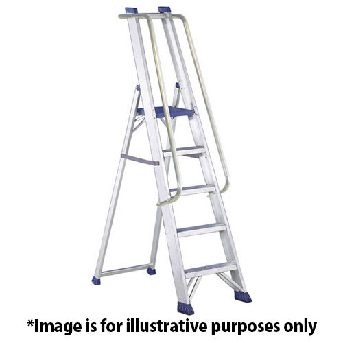 Regina Special Single Sided Platform Ladder with Bodyguard & Handrail ...