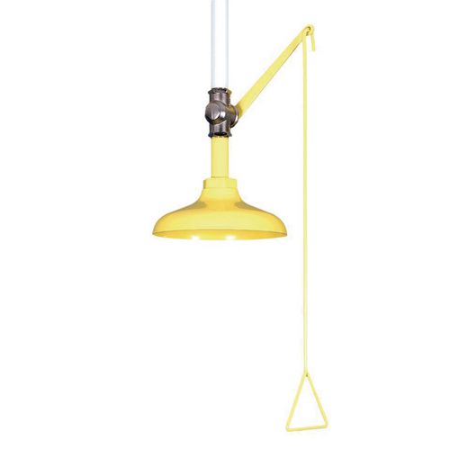 Ceiling Mounted Safety Shower With Plastic Head - Hunt Office Ireland