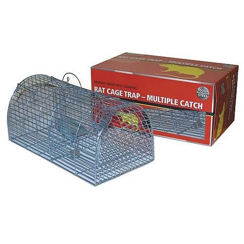 Humane Rat Capture Multicatch Cage - Hunt Office Ireland
