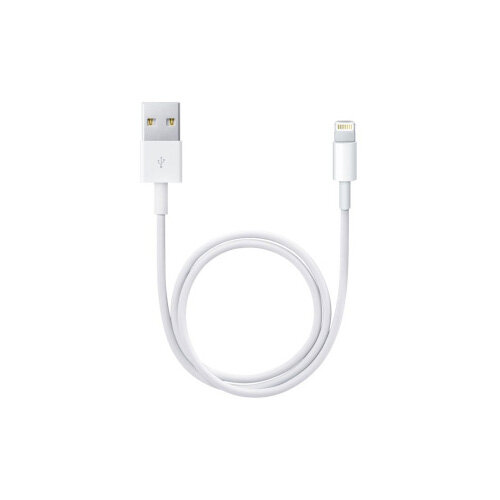 Apple Lightning/USB Data Transfer Cable for iPad iPod iPhone 50 cm 1 x ...