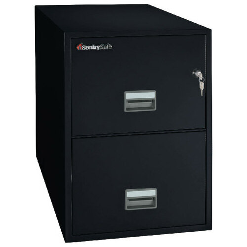 Sentry 2 Drawer Fire Safe File Cabinet | Cabinets Matttroy