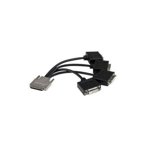 StarTech VHDCI to Quad DVI Splitter Breakout Cable - Hunt Office Ireland