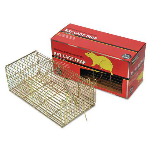 Humane Rat Capture Cage - Hunt Office Ireland